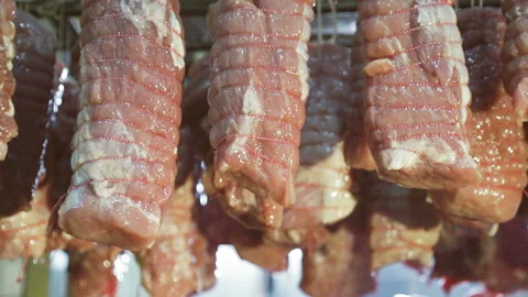 Bushmeat Stock Footage ~ Royalty Free Stock Videos | Pond5