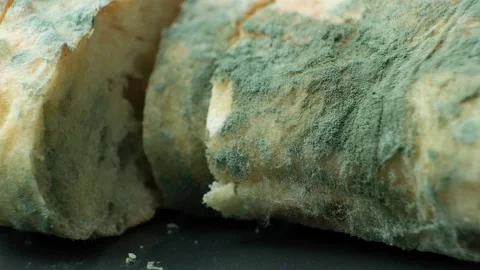 Sliced Bread I Stock Videos – Royalty-Free HD & 4K Videos