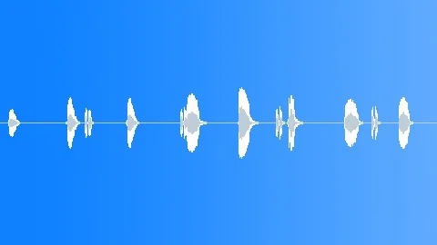 Piercing Screams, Wild Boar, Shriek, Terrifying, Reverberant ~ Clip ...