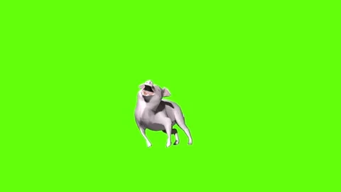 Pig death green screen animation 3D ren... | Stock Video | Pond5