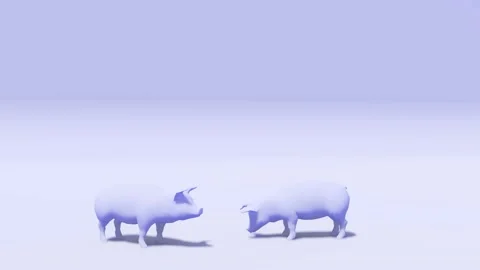 pig green screen animation | Stock Video | Pond5