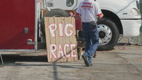 Piglets Pig Sign Stock Videos – Royalty-Free HD & 4K Videos