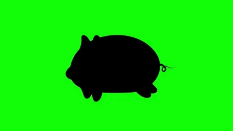 Pig Running on Green Screen Animation. 4... | Stock Video | Pond5