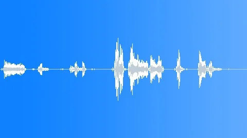 PIG ~ Sound Effect FX Royalty Free #8700756 | Pond5