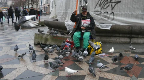 Pigeon Head People Stock Videos – Royalty-Free HD & 4K Videos | Pond5