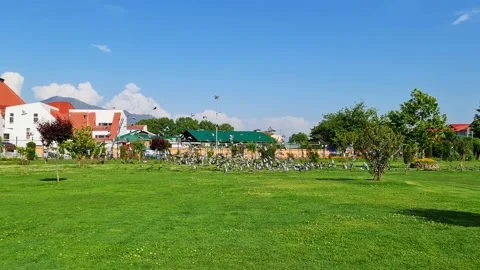 Ckground and Will Stock Videos – Royalty-Free HD & 4K Videos | Pond5