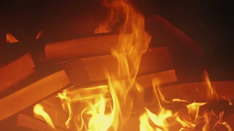 Books Burn Stock Videos – Royalty-Free HD & 4K Videos | Pond5