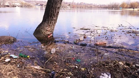 a pile of garbage in the river near the ... | Stock Video | Pond5