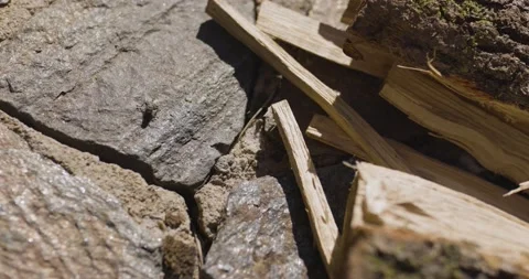 Pile of log wood. Fly insect on a stone ... | Stock Video | Pond5