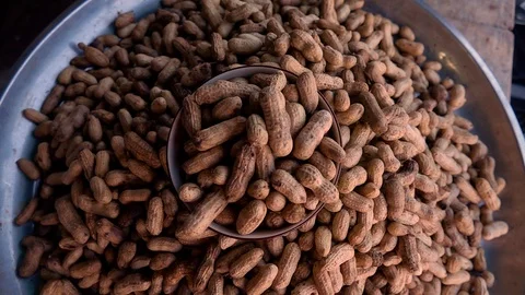 Pile of Peanuts in Shell on Tray for Sal... | Stock Video | Pond5