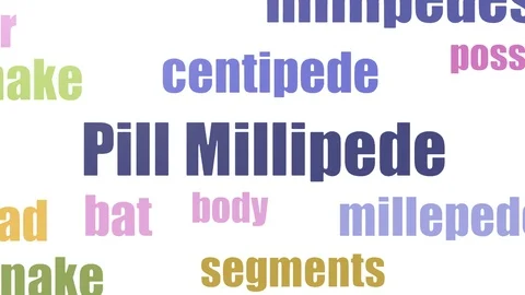 Pill Millipede Word Cloud Animated On Wh... | Stock Video | Pond5