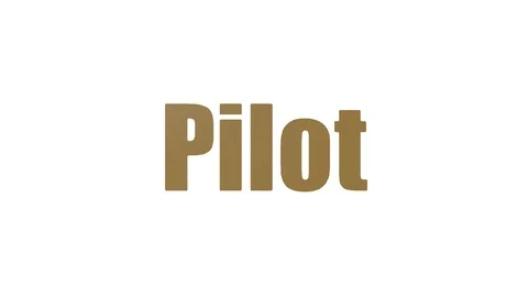 Pilot Word Cloud Animated Isolated On Wh... | Stock Video | Pond5