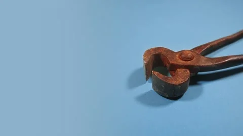 Pincer on a blue background | Stock Video | Pond5