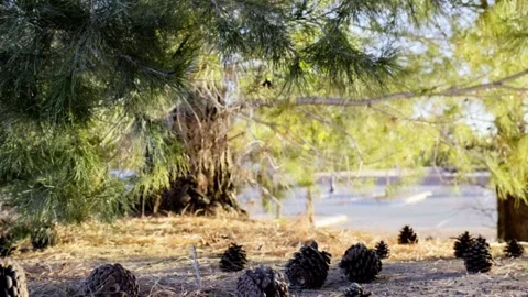 Falling Fallong Stock Videos – Royalty-Free HD & 4K Videos