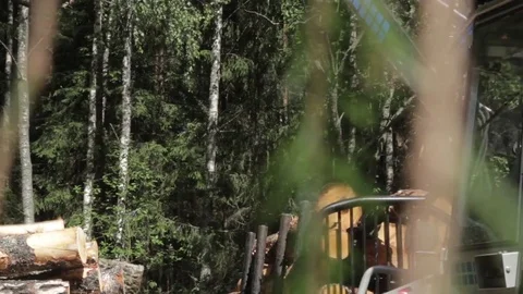 Forestry Stock Video Footage | Royalty Free Forestry Videos | Page 7
