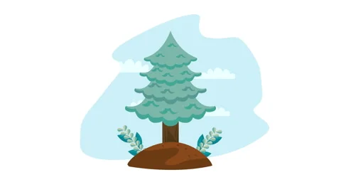 pine tree plant forest animation | Stock Video | Pond5