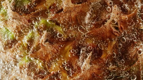 Ananas Cocktail Stock Videos – Royalty-Free HD & 4K Videos | Pond5