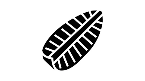 Pineapple Vintage Stock Videos – Royalty-Free HD & 4K Videos | Page 3