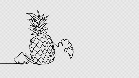 Pineapple single line animated illustrat... | Stock Video | Pond5