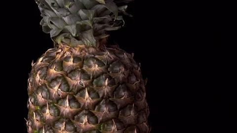Pineapple spinning black background | Stock Video | Pond5