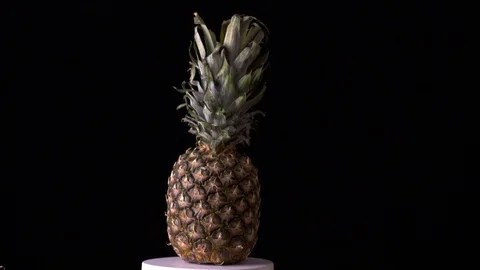Pineapple spinning black background | Stock Video | Pond5