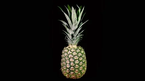 Pineapple spinning black background | Stock Video | Pond5