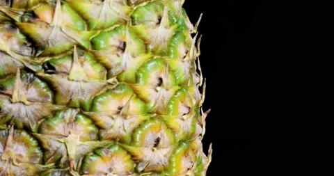 Pineapple spinning black background | Stock Video | Pond5