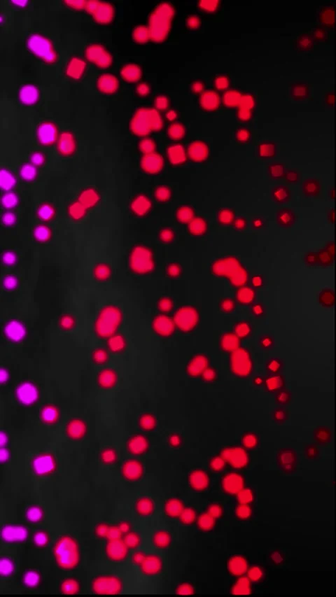 Red Pink Clipart Stock Videos – Royalty-Free HD & 4K Videos