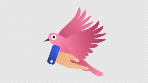 A pink bird taking flight from a human h... | Stock Video | Pond5
