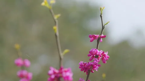 R Full Name Stock Videos – Royalty-Free HD & 4K Videos | Pond5