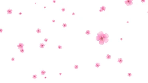 Spring Overlay Stock Video Footage | Royalty Free Spring Overlay Videos ...