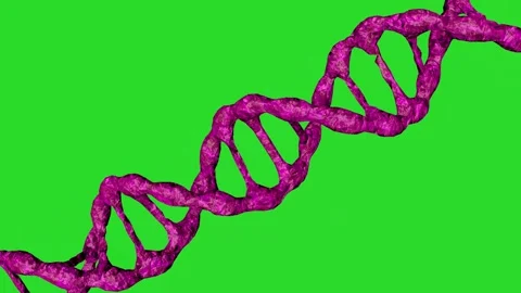 Pink DNA molecules animation on a green ... | Stock Video | Pond5