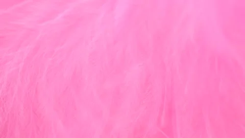 Dream Mac Stock Videos – Royalty-Free HD & 4K Videos | Pond5