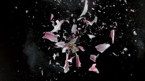 哪吒之魔童闹海免费观看完整版4K Stock Footage ~ Royalty Free Stock Videos | Page 6