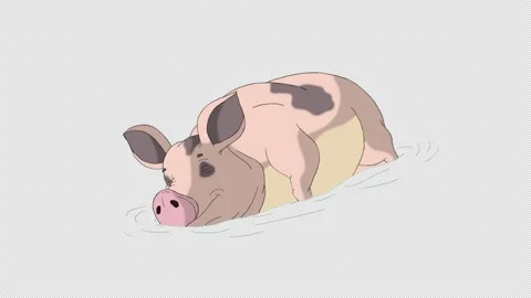 Pig Mating Stock Videos – Royalty-Free HD & 4K Videos