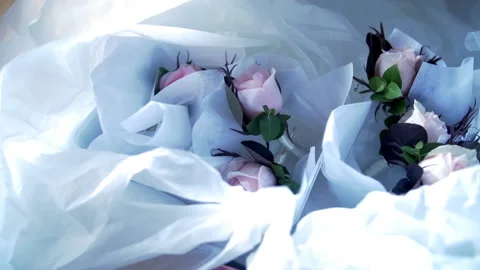 Pink Roses In Crumpled Paper Cloth On Th... | Stock Video | Pond5