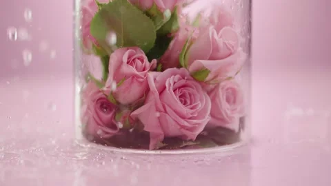 Pink roses inside a transparent glass va... | Stock Video | Pond5