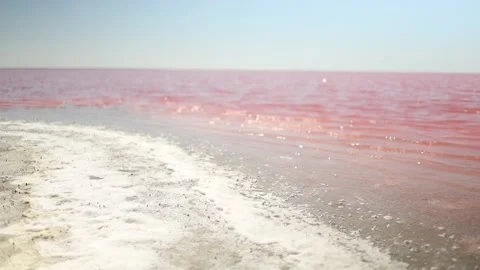 Pink saline sea. Salt lake water evapora... | Stock Video | Pond5