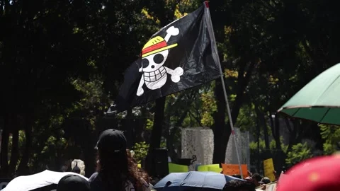 Pirate flag inspired by One Piece waving... | Stock Video | Pond5