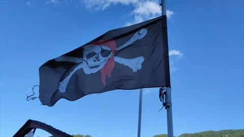 pirate flag with skull and crossbones wa... | Stock Video | Pond5