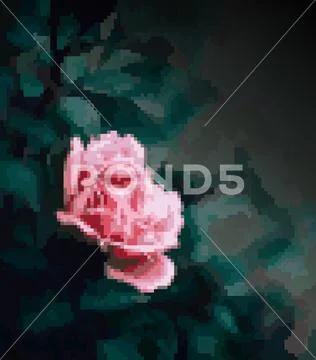 Pixel art with tender rose bush. Abstract mosaic rose flower with green ...