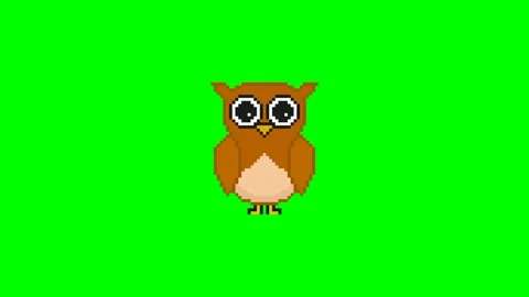 Owl Animation Stock Footage ~ Royalty Free Stock Videos | Pond5