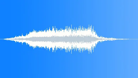 Plane Flying Overhead ~ Sound Effect Royalty Free #231809300