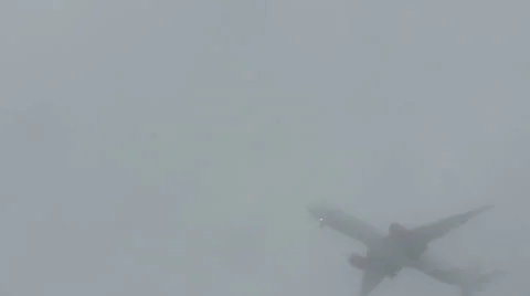 Roar Stock Videos – Royalty-Free HD & 4K Videos