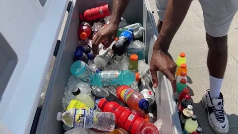 Camera Hottest Stock Videos – Royalty-Free HD & 4K Videos