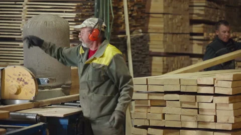 Plank production process inside of the m... | Stock Video | Pond5