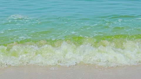 PLANKTON BLOOM Green color in seawater. ... | Stock Video | Pond5