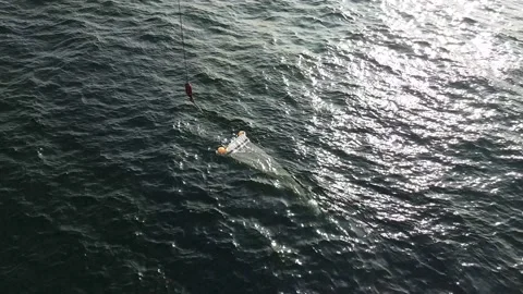 Bongo Plankton Nets Stock Video Footage | Royalty Free Bongo Plankton ...