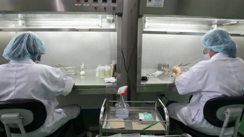 Plant being dissected in lab laboratory ... | Stock Video | Pond5