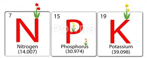 Plant feed made up of Periodic table style tiles Nitrogen, Phosphorus ...